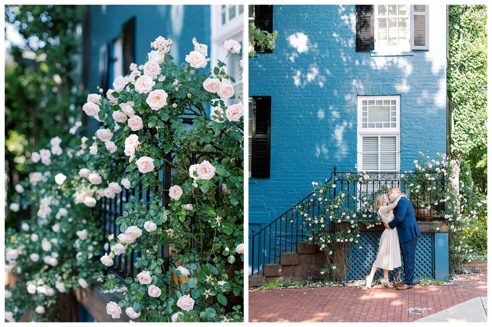 Washington DC Garden Engagement | Georgetown Garden Engagement | DC ...