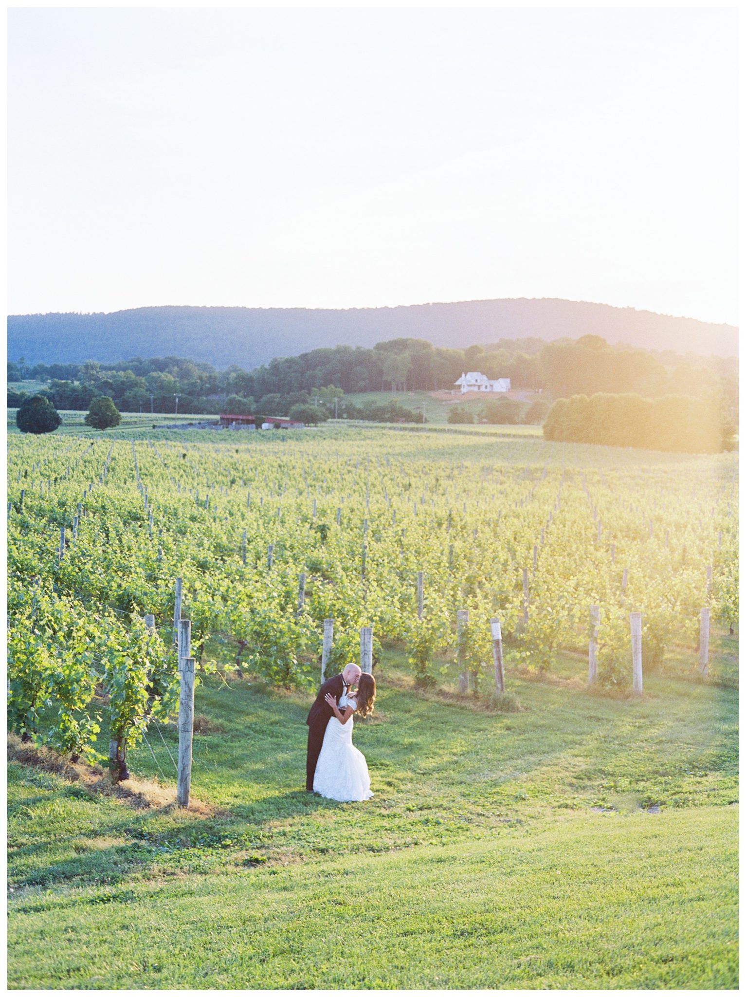 Breaux Vineyards Wedding | Classic Blue Wedding | Natalia and JP ...
