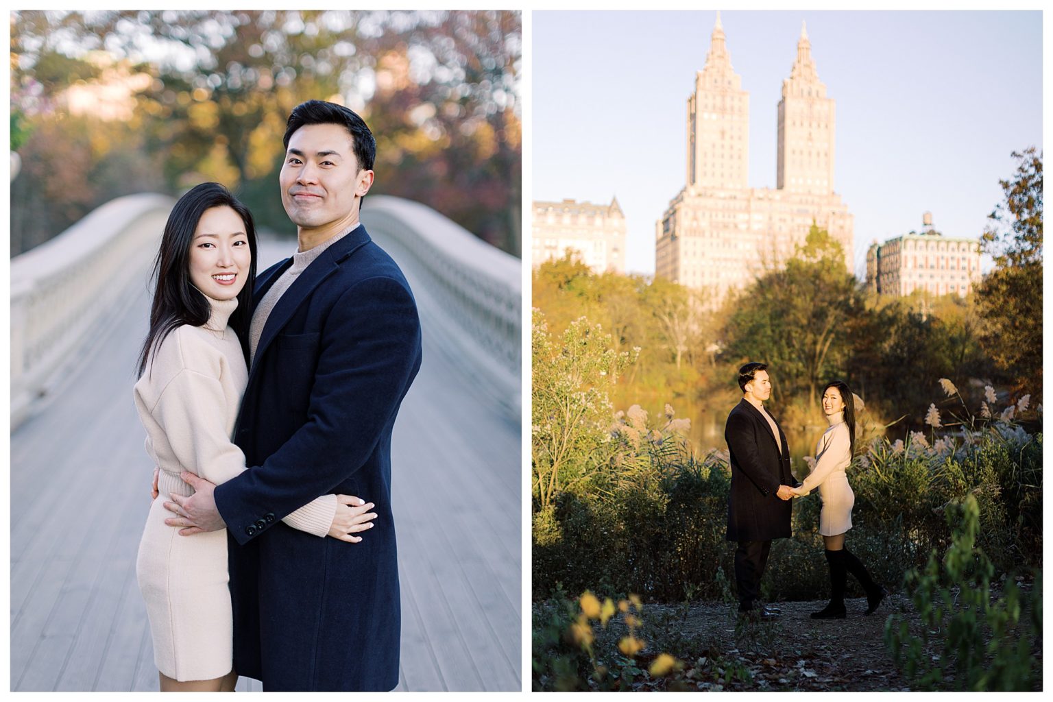 New York City Engagement Pictures | Central Park Engagement Photos ...