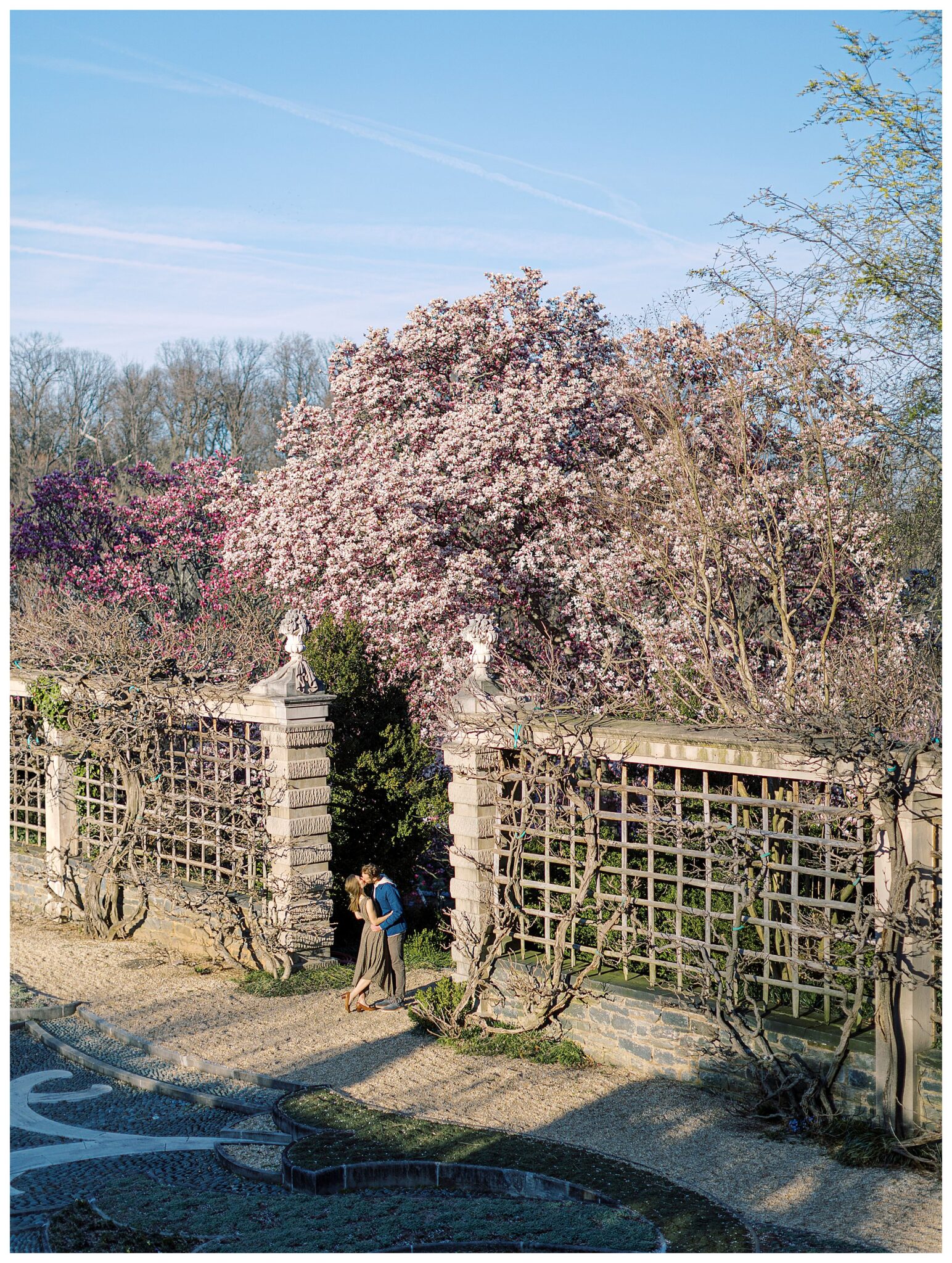 Springtime DC Garden Engagement | Magnolia Flower Engagement Photos ...