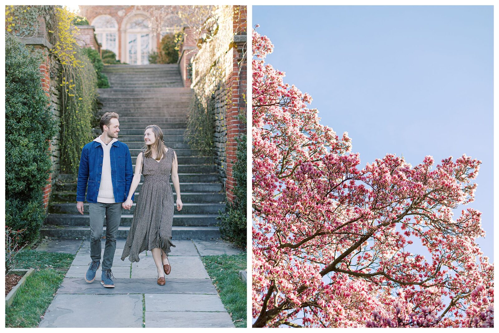 Springtime DC Garden Engagement | Magnolia Flower Engagement Photos ...