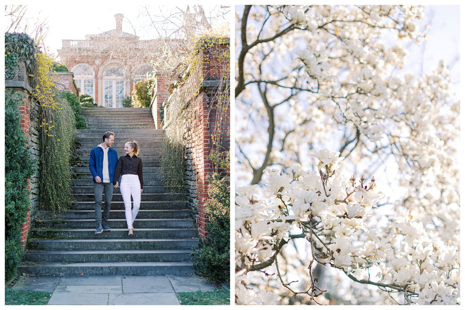 Springtime DC Garden Engagement | Magnolia Flower Engagement Photos ...