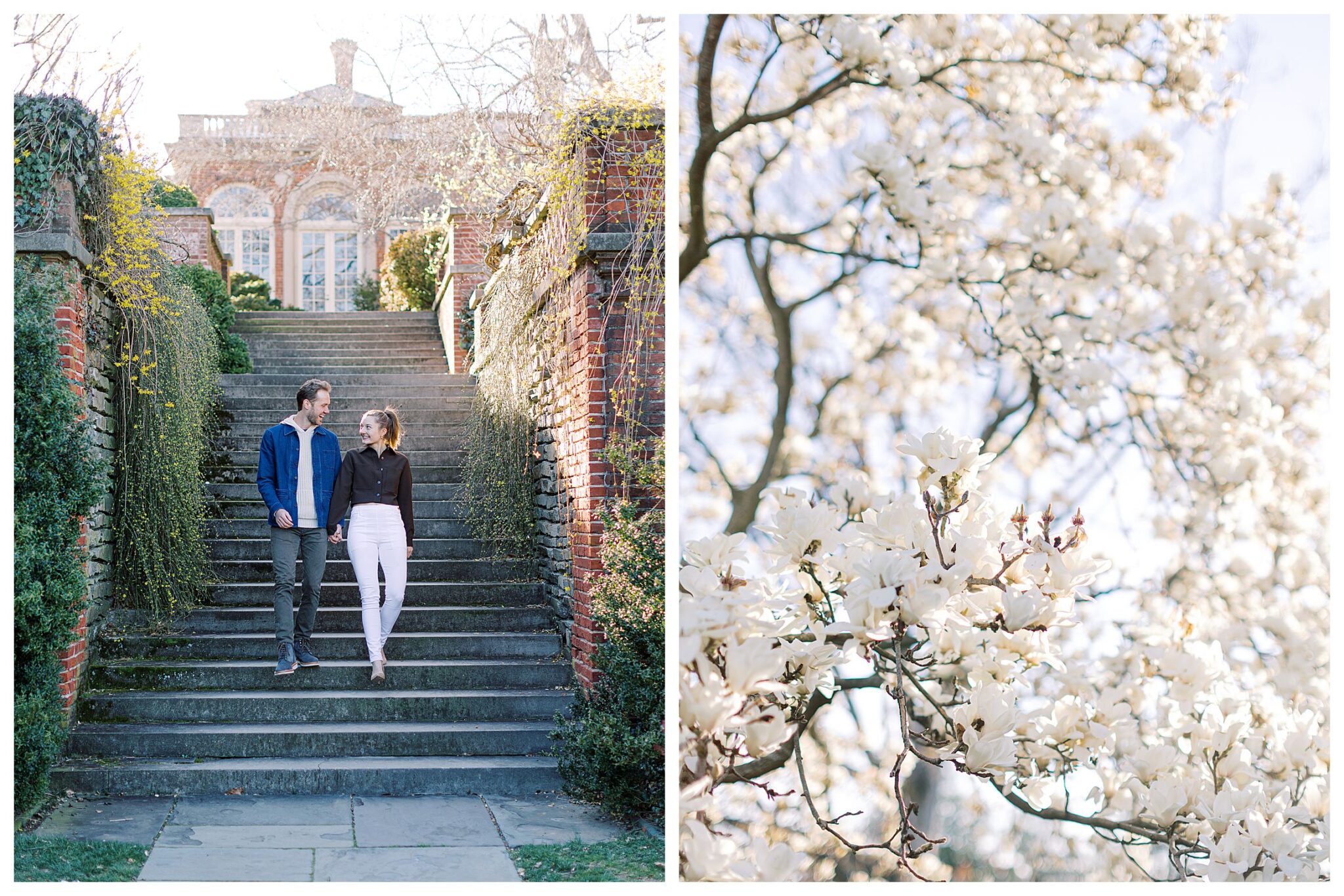 Springtime DC Garden Engagement | Magnolia Flower Engagement Photos ...